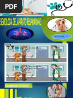 Exploración Aparato Resp. Caballo | PDF | Sistema respiratorio | Laringe