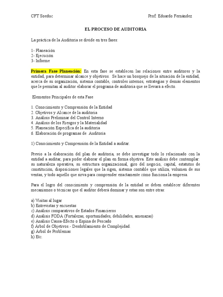 El Proceso de Auditoria | PDF | Auditoría | Contabilidad
