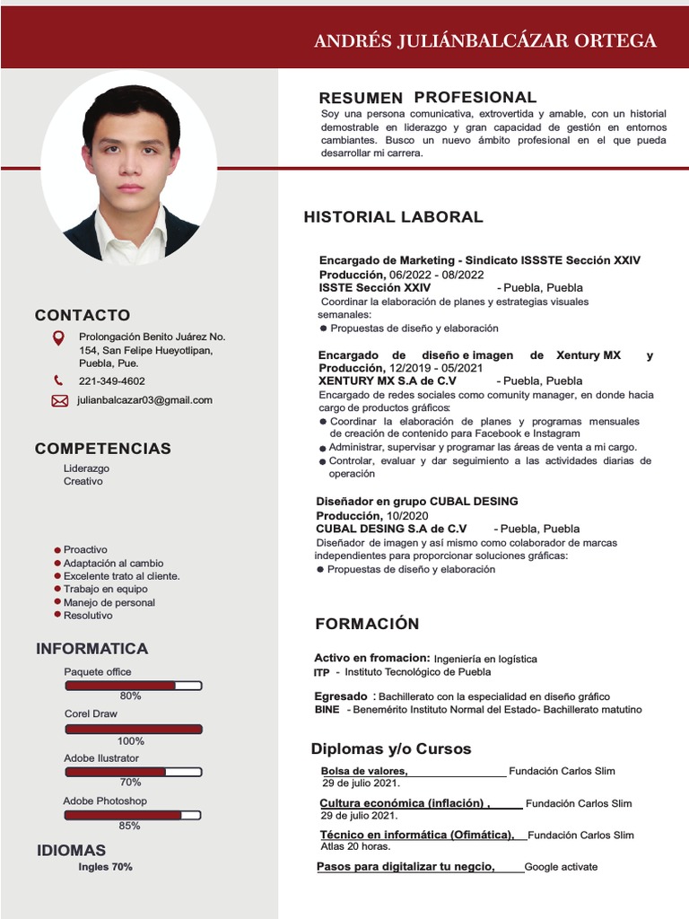 CV Julian | PDF | Business