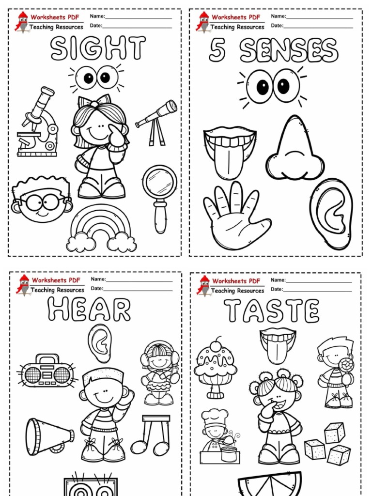5 Senses | PDF