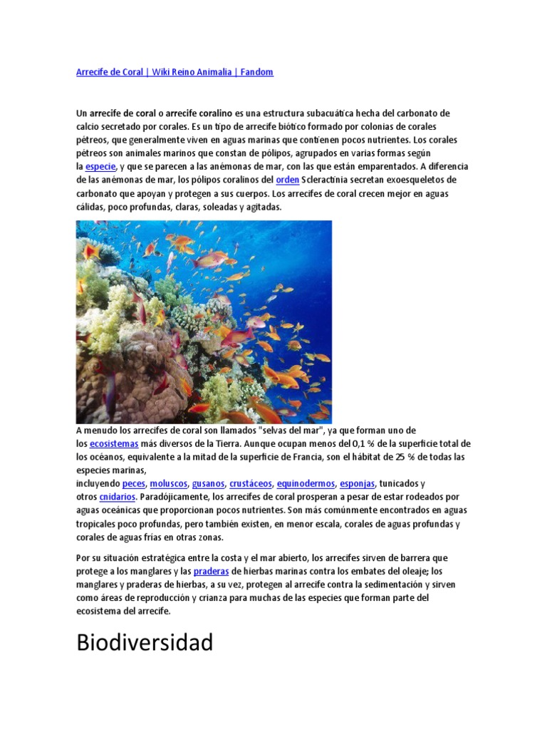 Presentacion Fauna Acuatica | PDF | Arrecife de coral | Tortuga marina