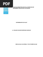 Modelo de Blum | PDF | Cuidado de la salud | Población