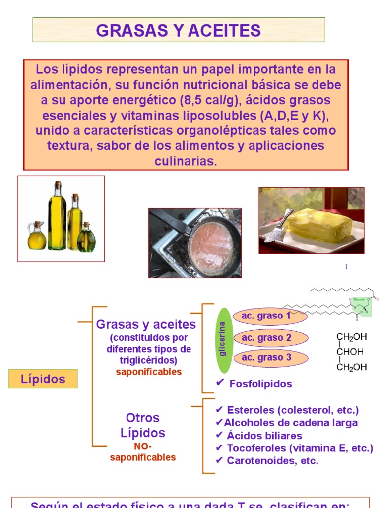 Diferencias entre Grasas y Aceites | PDF | gordo | Aceite de oliva