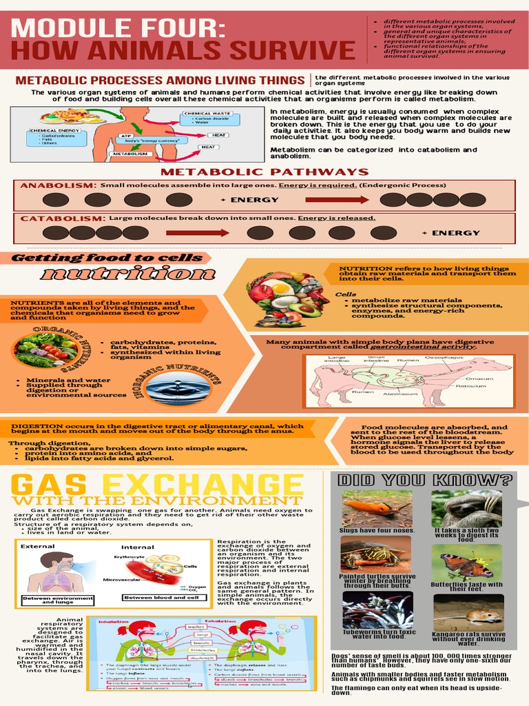 Module 4 How Animals Survive | PDF | Nervous System | Hormone