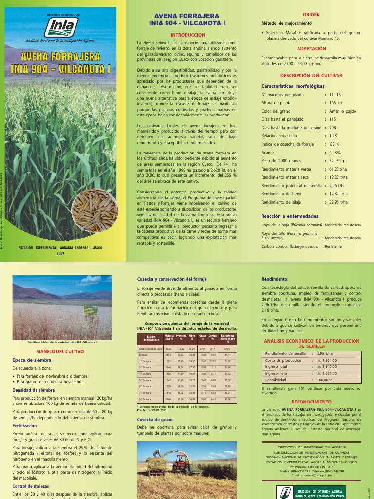 Inia 904 | Descargar gratis PDF | Agricultura | Pasto