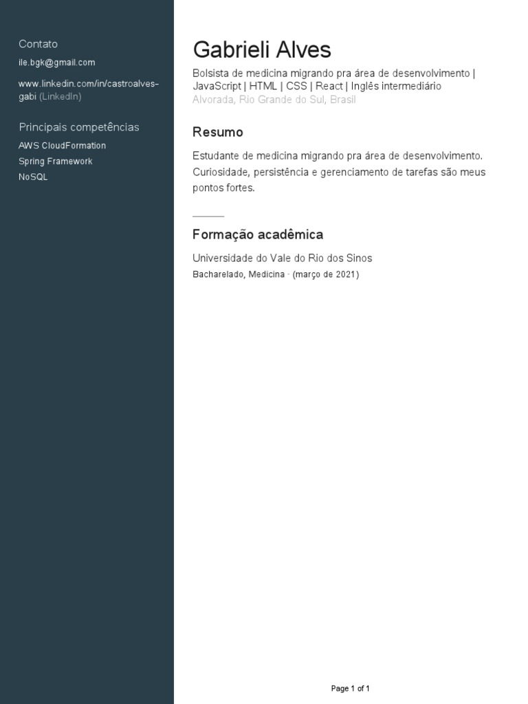 Modelo de Currículo para Desenvolvedor Iniciante | PDF