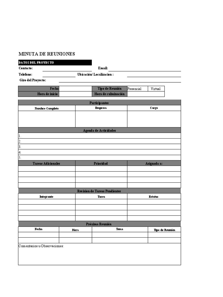 Formato Minuta de Reuniones | PDF