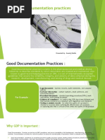 1029 Good Documentation Guidelines | PDF