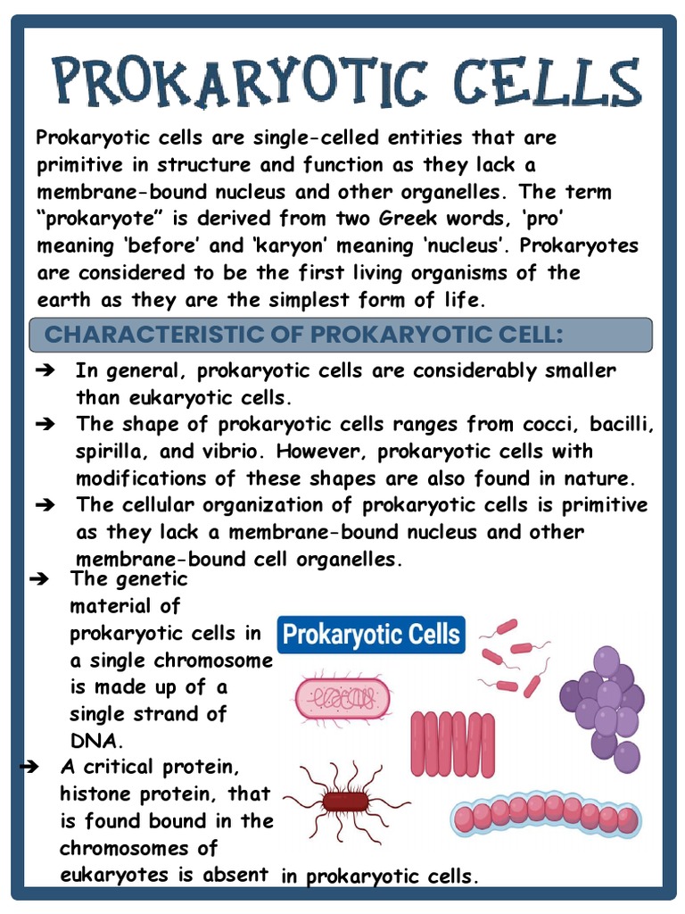 Prokaryotic And Eukaryotic Cells Pdf Cell Biology Prokaryote