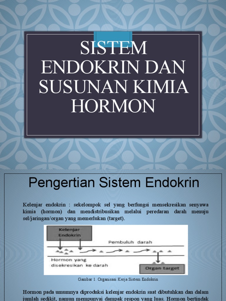 Sistem Endokrin Dan Susunan Kimia Hormon | PDF