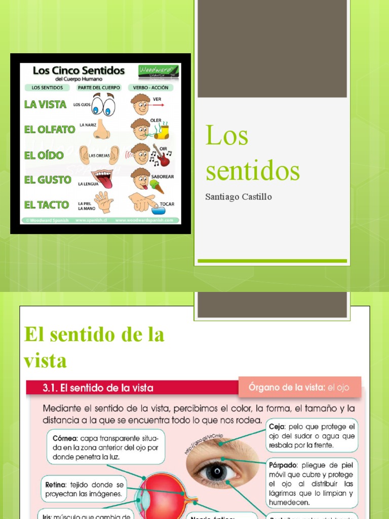 Cuidados de los 5 Sentidos para Niños | PDF | Salud y bienestar