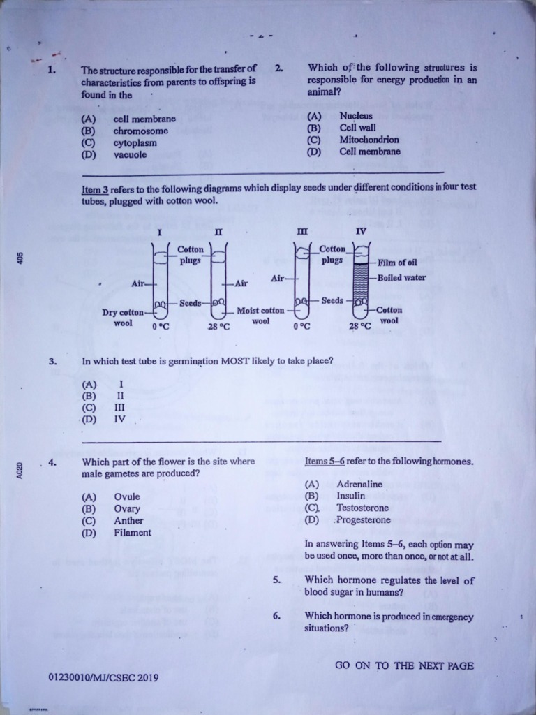 Science past paper 2019 (1) | PDF
