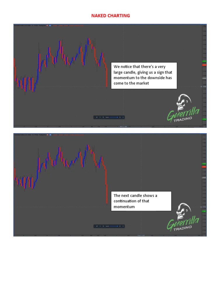 Naked Charting | PDF