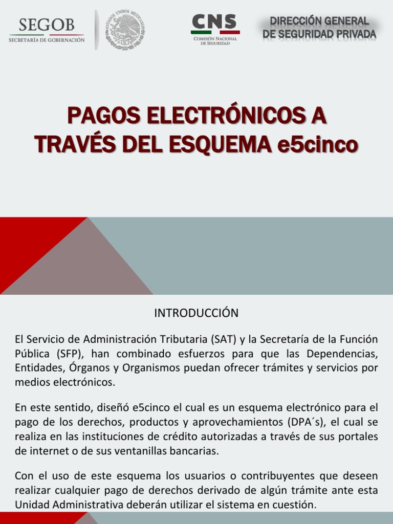 Instructivo para Pagos E5cinco | PDF | Internet | Informática