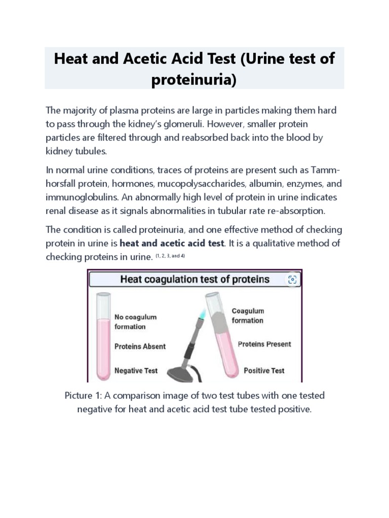 Heat and Acetic Acid Test | PDF