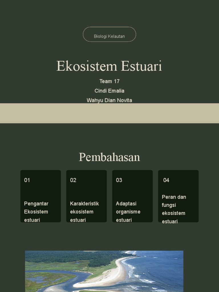 Biologi Kelautan - Ekosistem Estuari - Klompok 17 | PDF