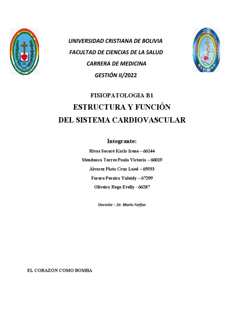 Estructura y Funcion Del Sistema Cardiovascular | PDF | Sistema ...