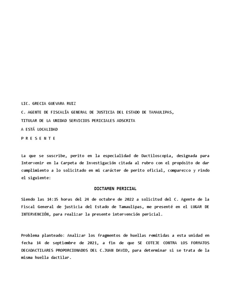 Dictamen Pericial Dacti | PDF | Hogar, jardinería y bricolaje