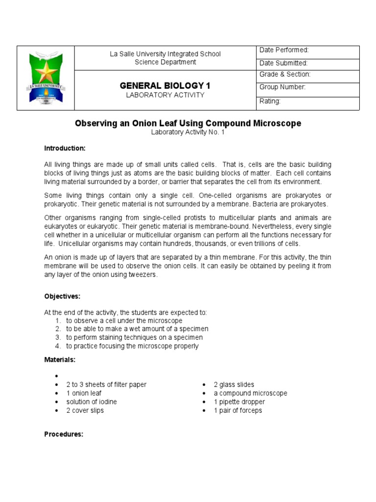 LAB 1 (Onion Cells) | PDF | Organisms | Cell (Biology)