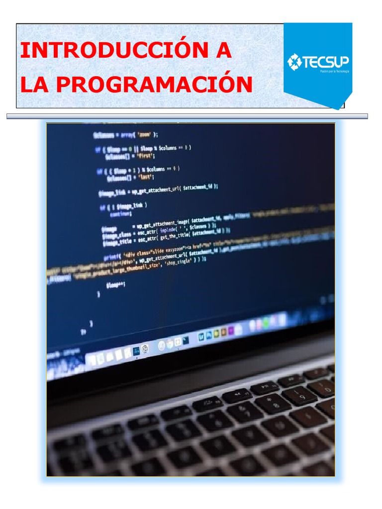 Introducción a la Programación en Python | PDF | Programación de ...