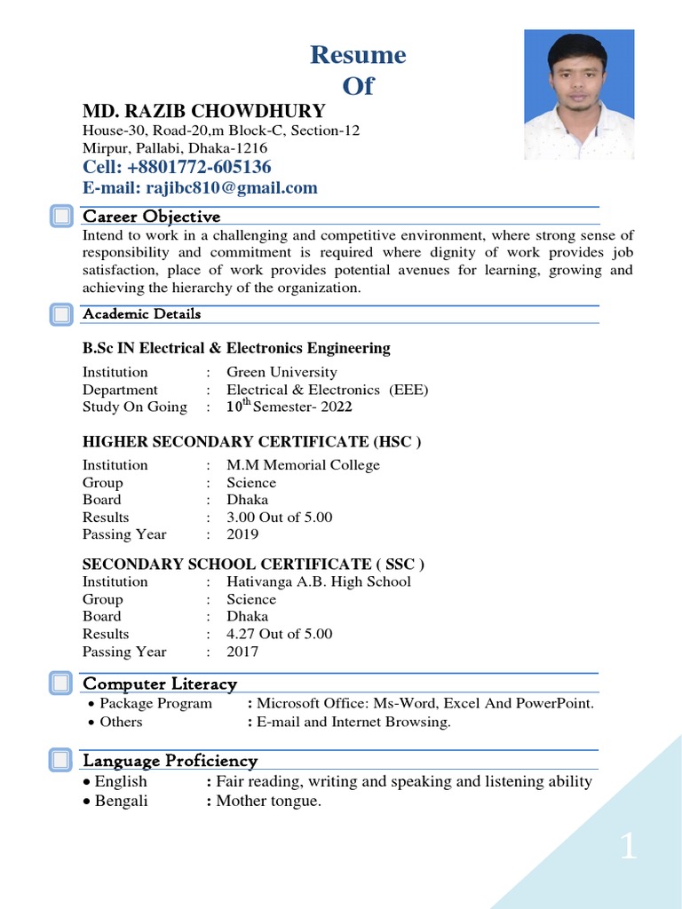 New 01772605136 CV Template | PDF | Cognition