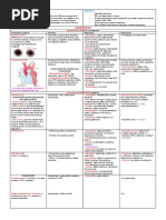 Triangulo de Evaluacion Pediatrica | PDF | Choque (circulatorio) | Cuidado de la salud