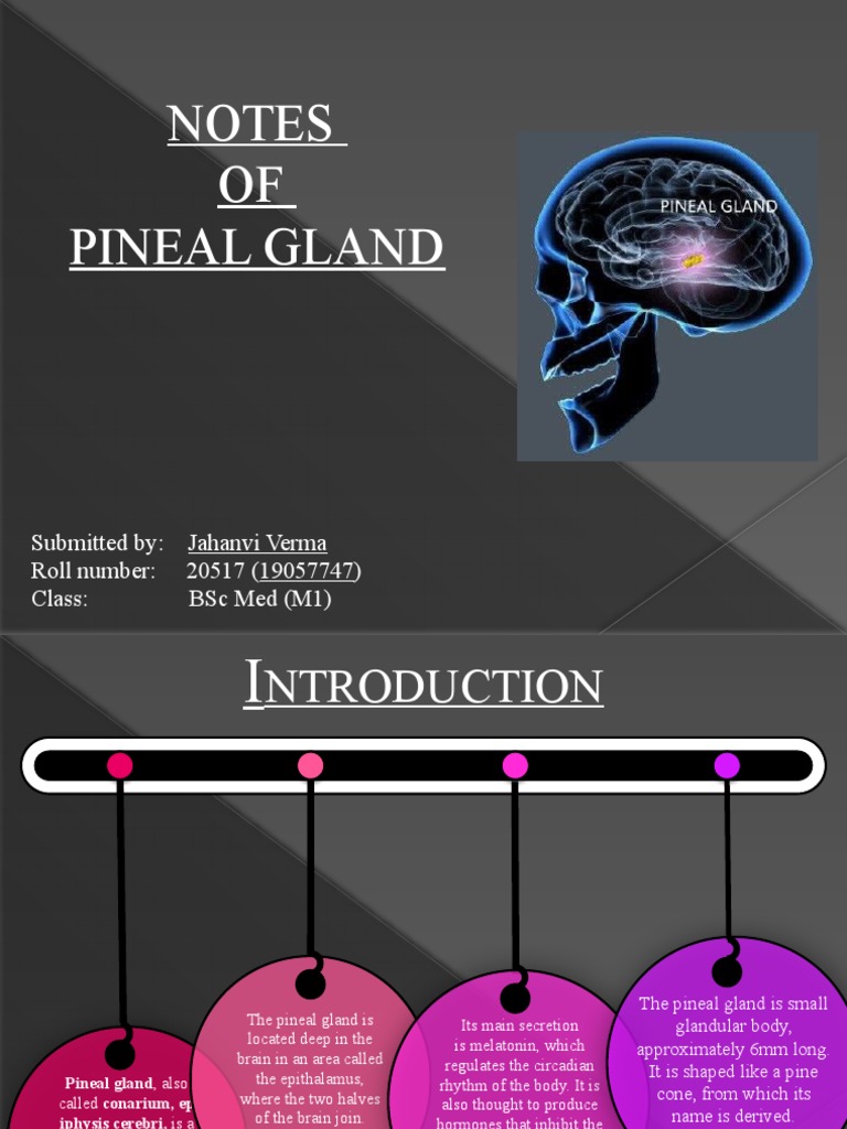Pineal Gland | PDF | Circadian Rhythm | Sleep