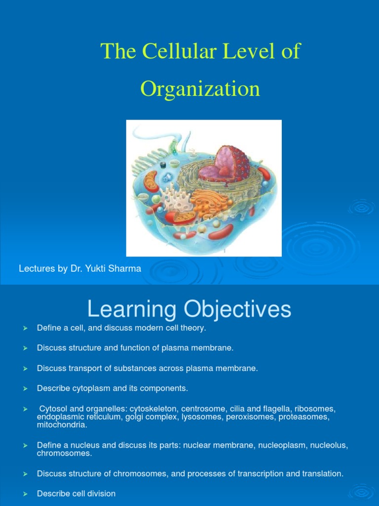 CHAPTER 3 - The Cellular Level of Organization | Download Free PDF ...