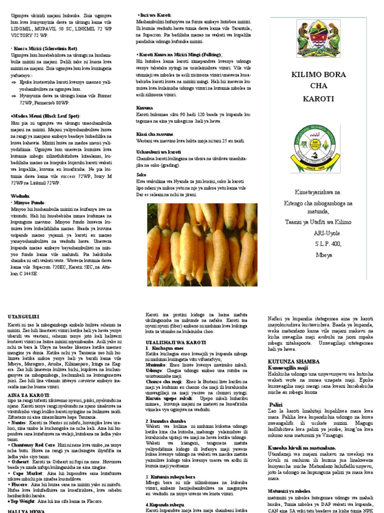 Kilimo Bora Cha Karoti-1-1 | PDF