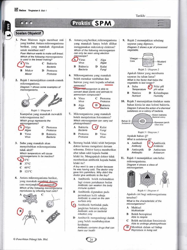 Sains Form 5 Ulangkaiji | PDF