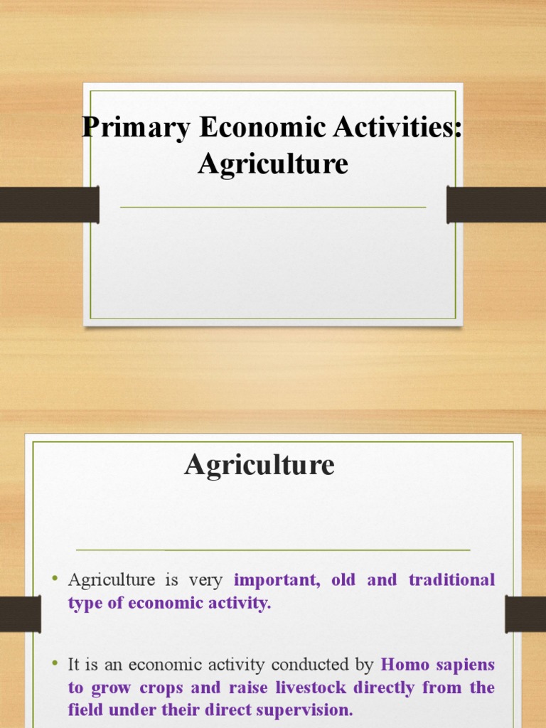 Overview of Primary Economic Activities | PDF | Agriculture | Plantation