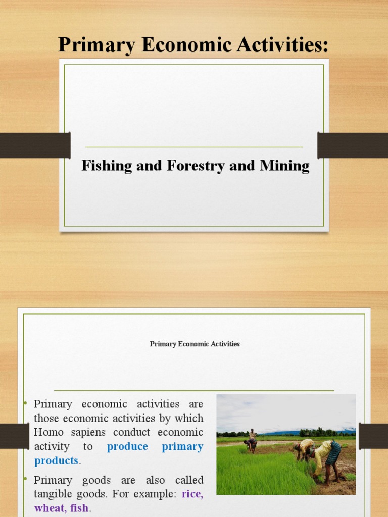Primary Economic Activities: Fishing & Mining | PDF | Forestry | Wood