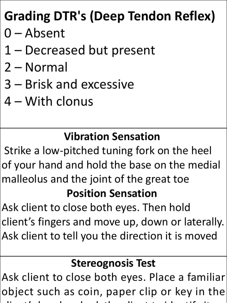 Print Neuro | PDF | Hand | Finger