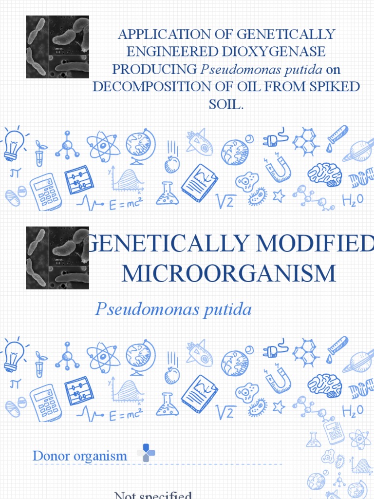 Genetically Modified Microorganism - Assignment | PDF | Science ...
