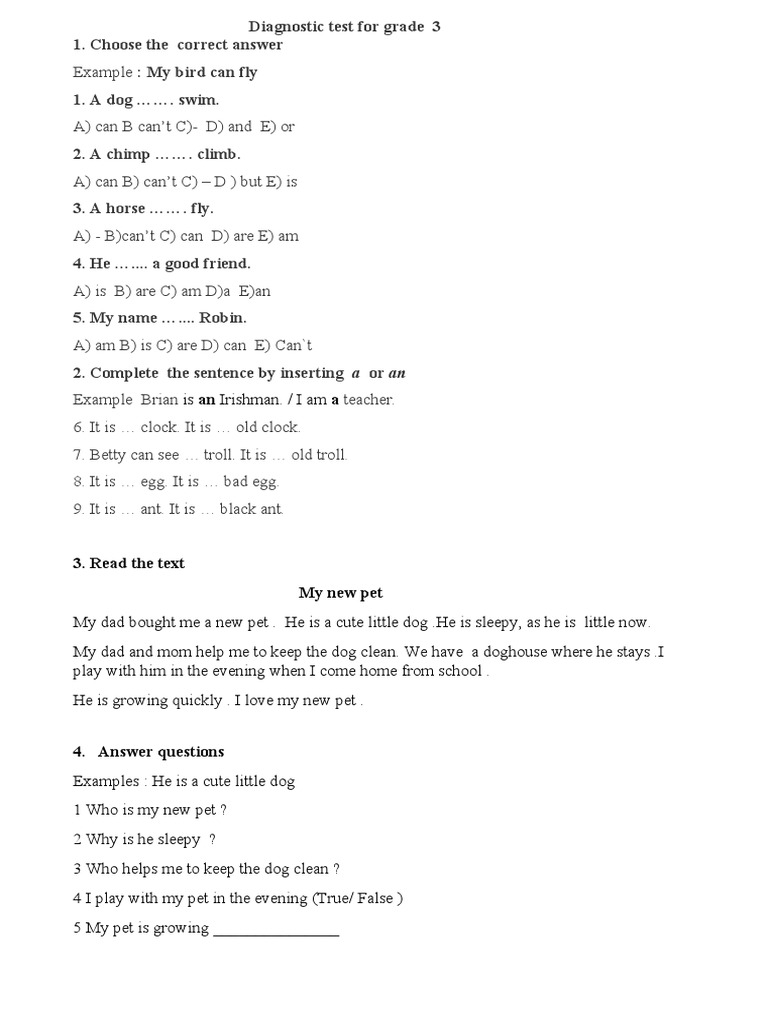 Grade 3 English Diagnostic Test | PDF | Language Arts & Discipline