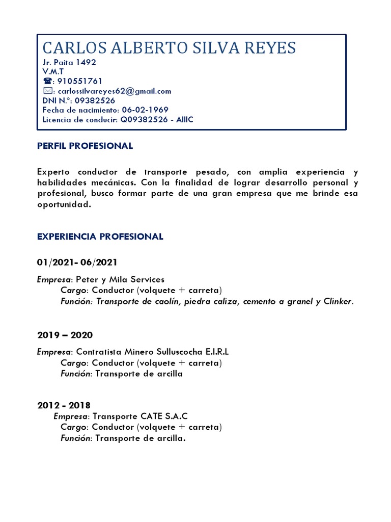 CV Carlos Silva | PDF | Negocios