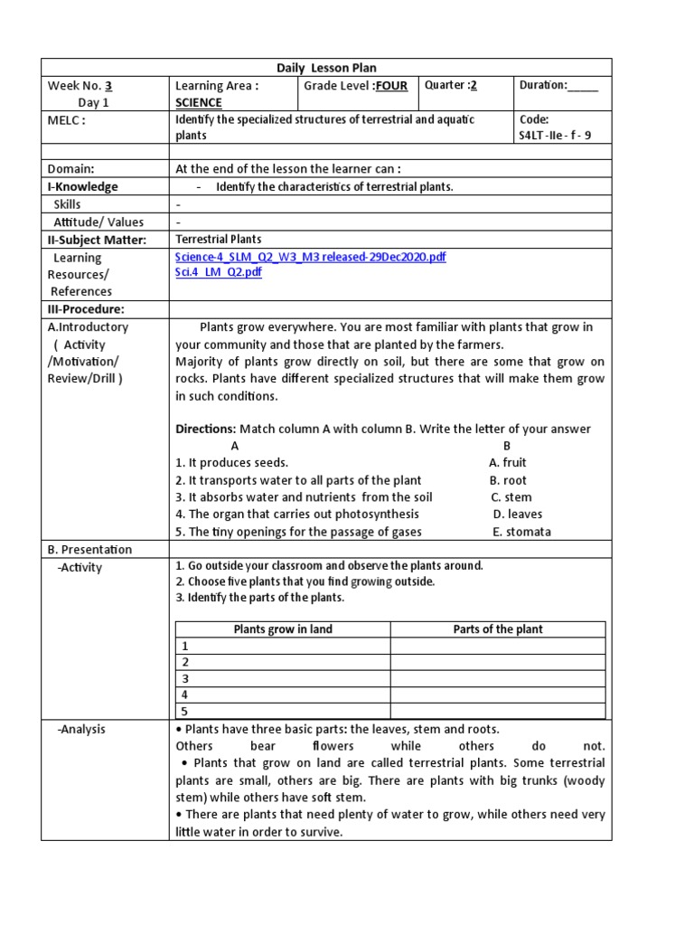 Daily Lesson Plan SCIENCE 4 WEEK 3 | PDF | Leaf | Plants