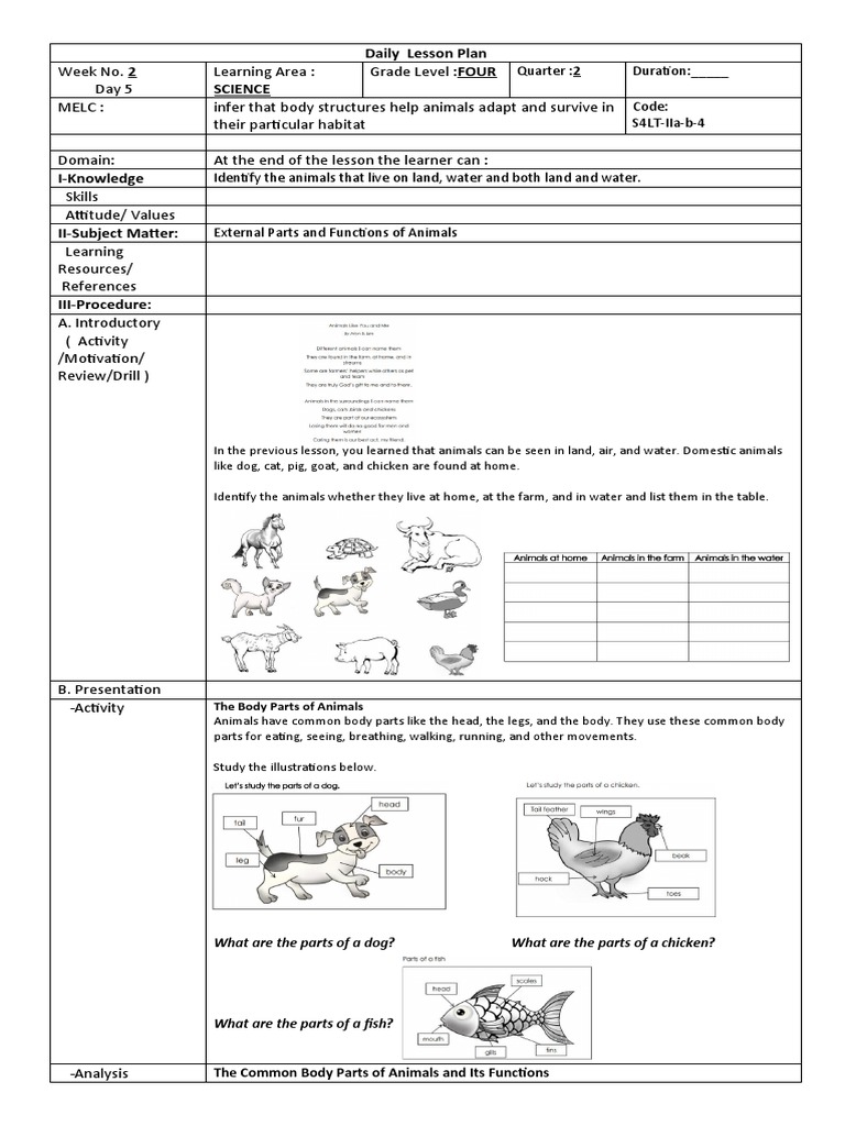 Daily Lesson Plan SCIENCE 4 WEEK 2day5 | PDF | Fish | Beak