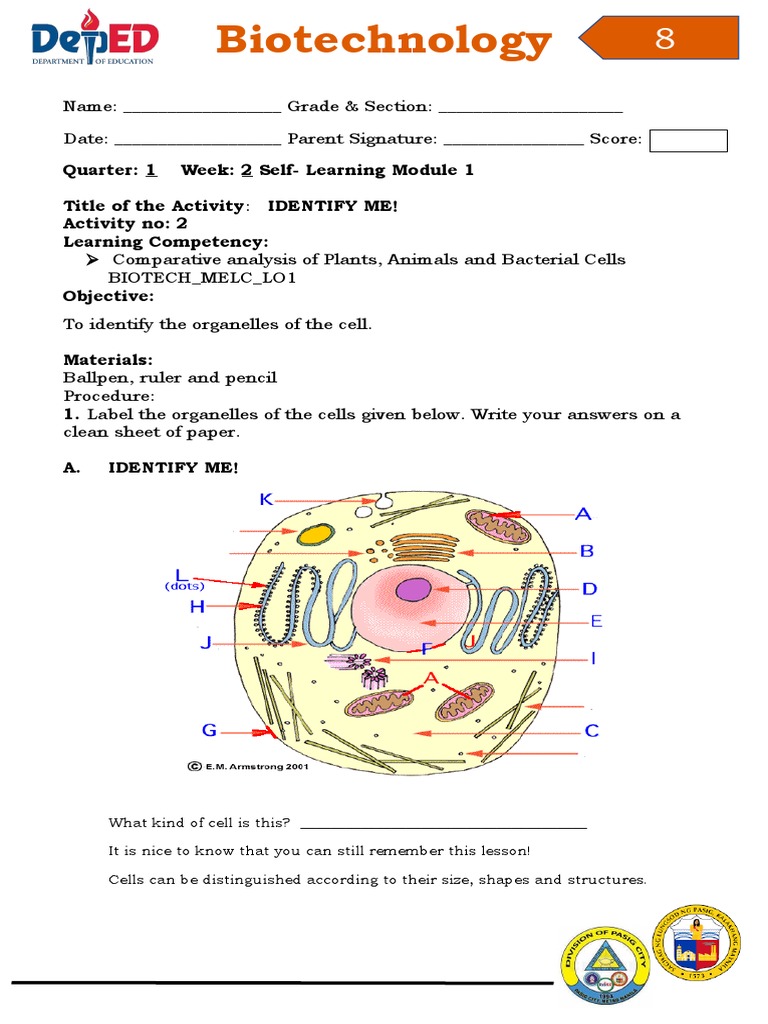 Biotech Q1 M1 Act 2 | PDF | Cell (Biology) | Organelle