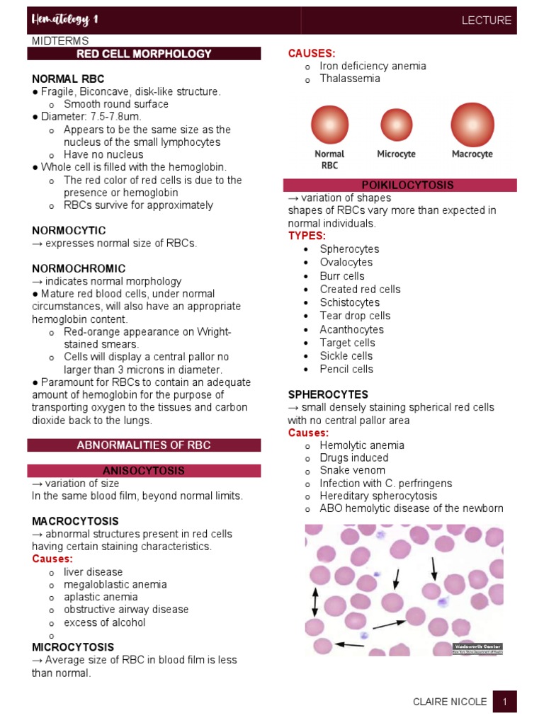RED CELL MORPHOLOGY | PDF | Red Blood Cell | Anemia