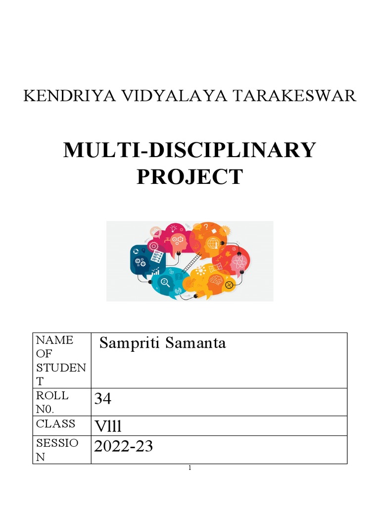 Education in India: A Multi-Disciplinary Project on the Importance of ...