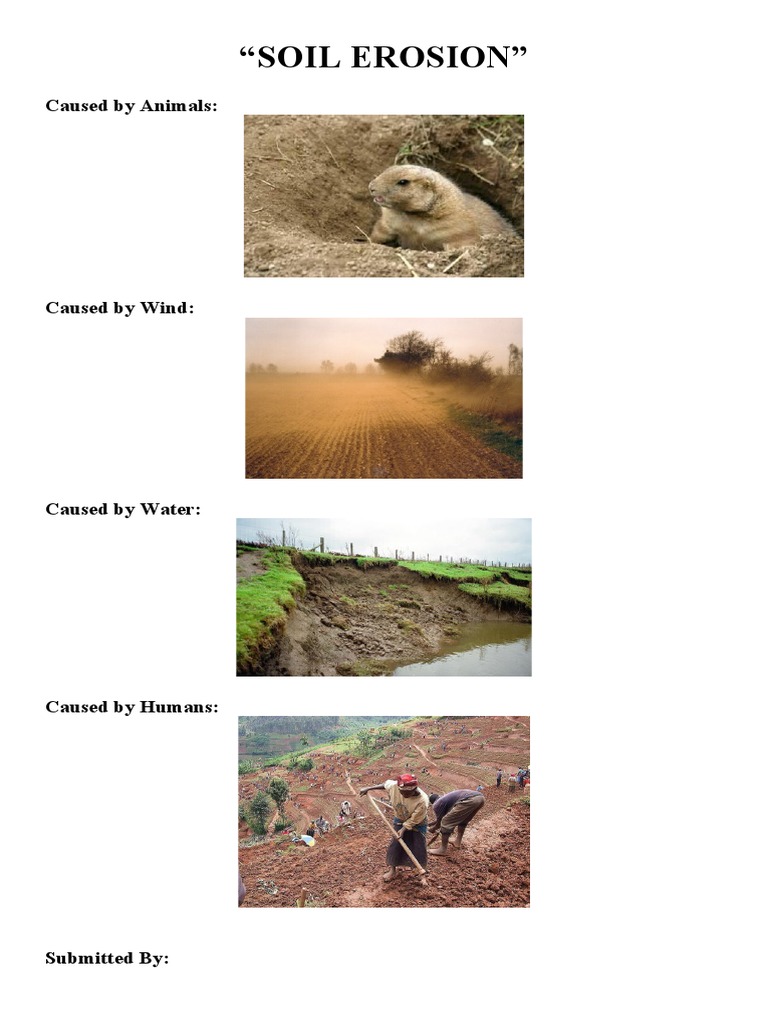 Soil Erosion | PDF