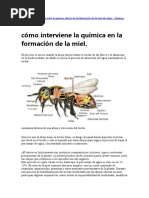Infografia-¿Como Producen Las Abejas La Miel? | PDF