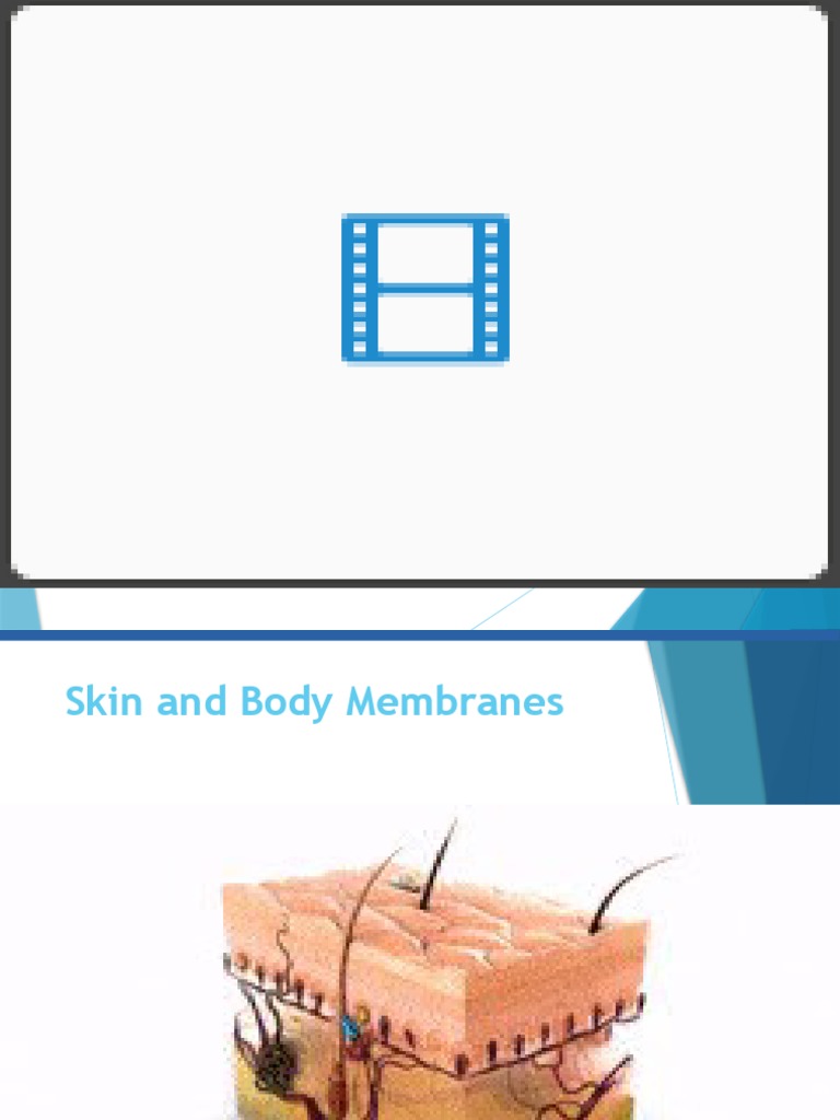 CH - 04 - SKIN AND BODY MEMBRANES | PDF | Skin | Epithelium