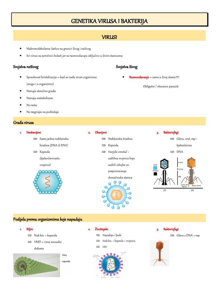 Genetika Virusa I Bakterija | PDF