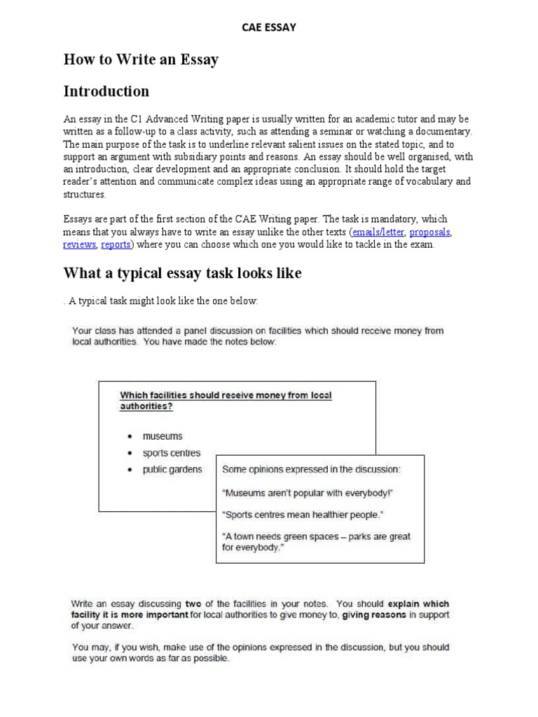 Cae Essay | PDF | Essays | Thought