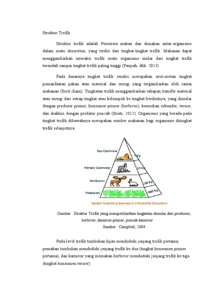 Struktur Trofik | PDF