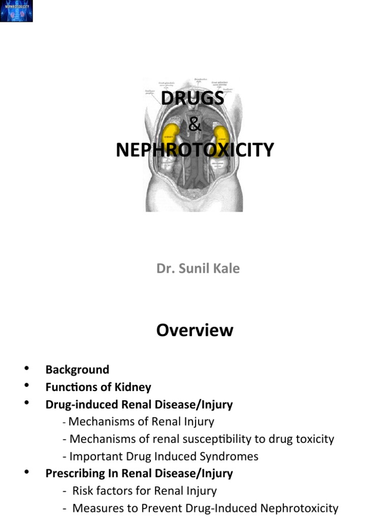 Nephrotoxic Drugs and Kidney Injury | PDF | Kidney Disease ...