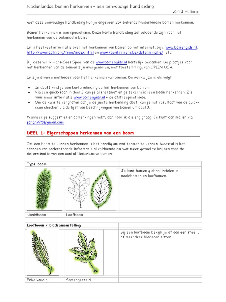 NavigatieBoom Determinatie v02 | PDF