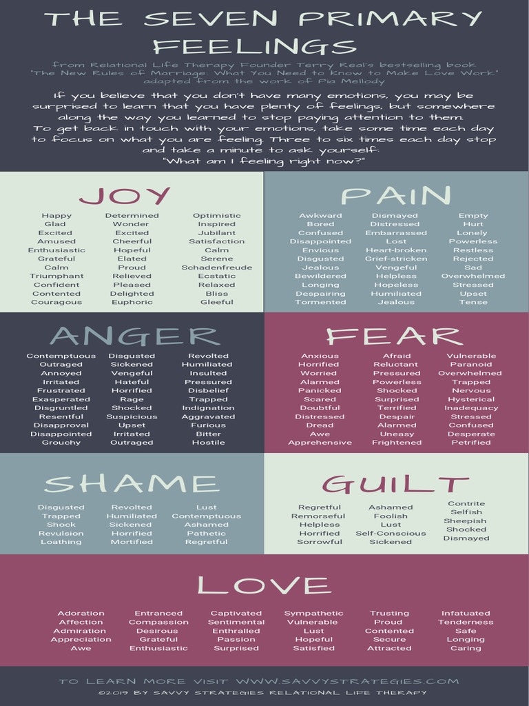Seven Primary Feelings | PDF | Emotions | Reference